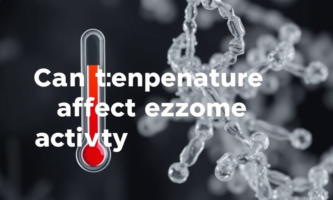How Temperature Impacts Enzyme Function Insights Revealed
